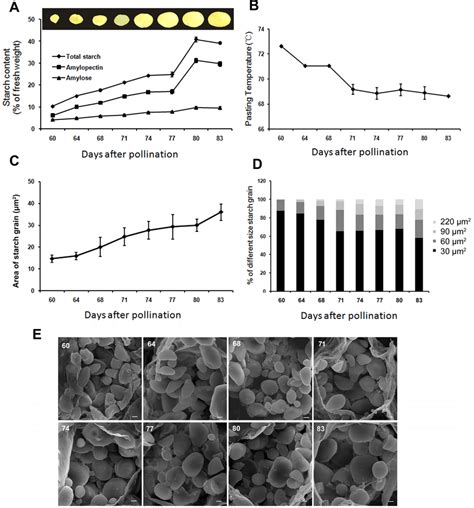 Starch Content Pasting Temperature And Granule Size In Developing
