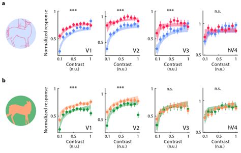 Objecthood Influences Responses In Human Early Visual Cortex 132 Four