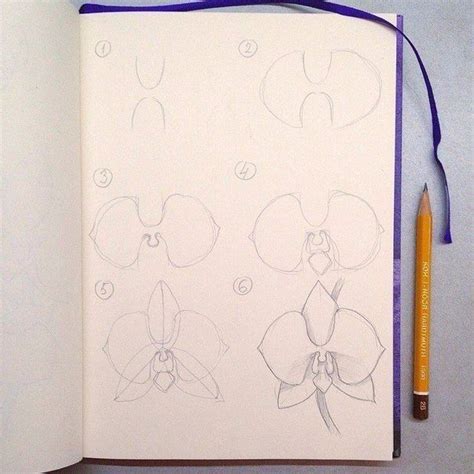 Pin on Уроки Flower drawing tutorials Flower drawing Drawing tutorial