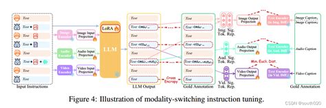 NExT-GPT: Any-to-Any Multimodal LLM 阅读学习-CSDN博客