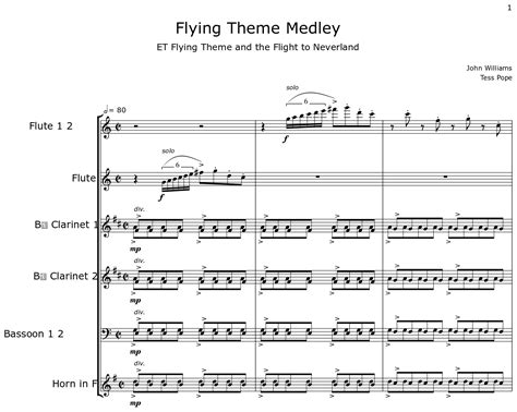Flying Theme Medley Sheet Music For Flute Clarinet Bassoon Horn In F String Ensemble