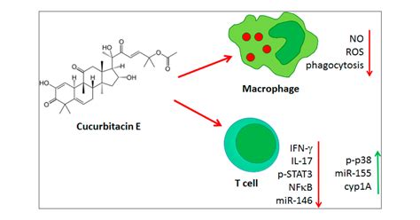 Cucurbitacin E Potently Modulates The Activity Of Encephalitogenic