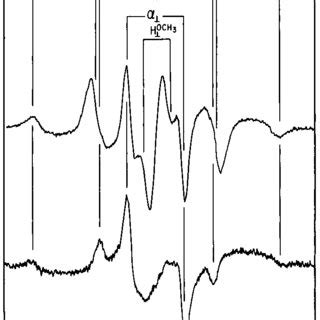 Proton Endor Spectra Of Iv For Setting B Of The Epr Spectrum For Each Download Scientific