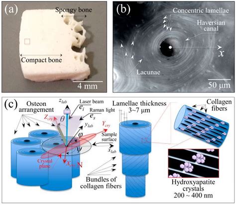 Methods And Protocols Mdpi On Linkedin Callforreading