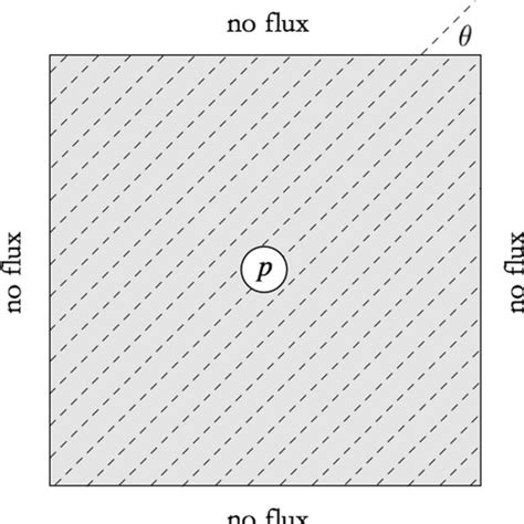 Geometry And Boundary Conditions For The Reactive Fluid Injection Problem Download Scientific