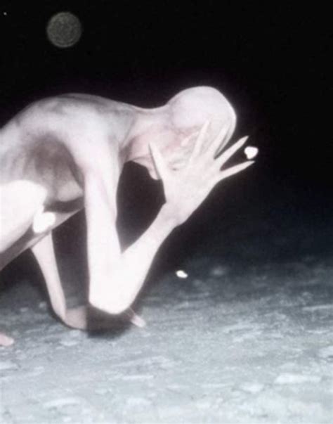 SCP Containment Paranormal Amino