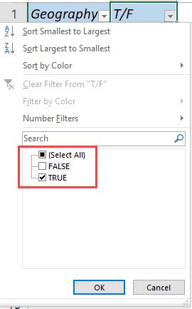 How To Filter Cells With Bold Font Formatting In Excel An Easy Guide