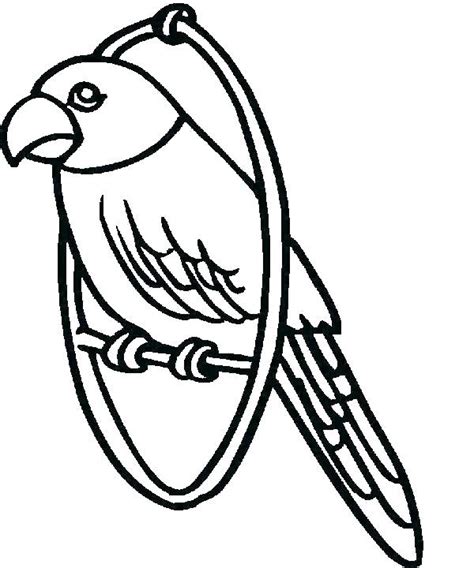 نقاشی طوطی برای کودکان؛ رنگ آمیزی طوطی‌های دانا و زیبا ستاره