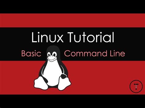 Free Video Linux Tutorial Basic Command Line From Traversy Media