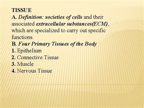Tissue A Definition Societies Of Cells And Their
