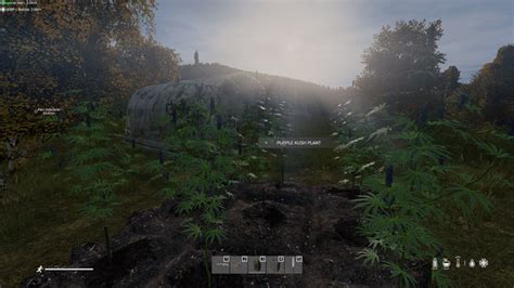 Grew My First Ever Batch Of Weed R Dayz
