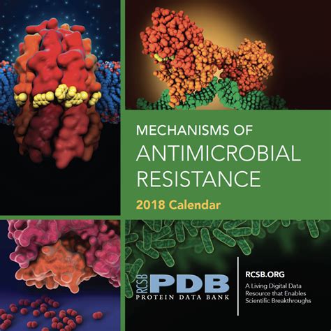 pdb 101 news