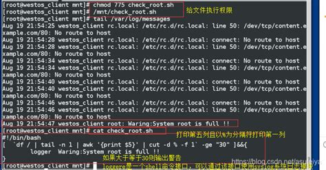 Shell基本命令以及正则表达式sh└┐ ┌┘中合 Csdn博客