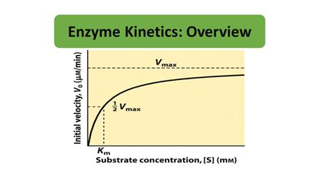 enzyme kinetics overview microbiology notes