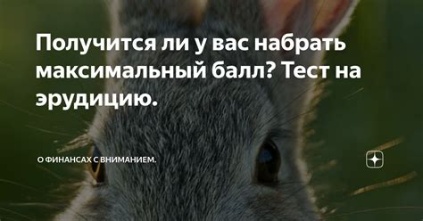 Получится ли у вас набрать максимальный балл Тест на эрудицию Тестовик тесты с вопросами на