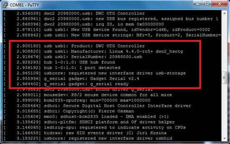 serial gadget turning your raspberry pi zero into a usb gadget