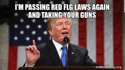 Im Passing Red Flg Laws Again And Taking Your Guns Donald Trump Meme Generator