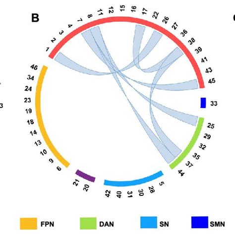 Connectivity Patterns Of The Six Contributing Networks Patterns Of A Download Scientific