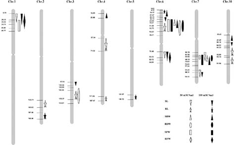 Molecular Linkage Map Showing The Positions Of Qtls For Six Traits