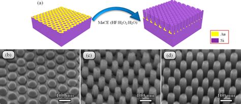 a schematic diagram for the fabrication of si nanowire array by using