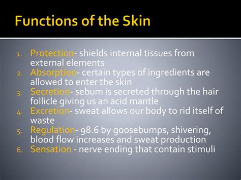 Functions Of The Skin