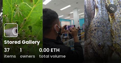 Stored Gallery Collection OpenSea