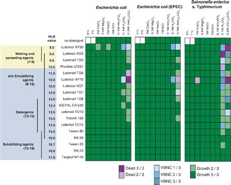 Screening Of The Combinational Effect And Induction Of The Vbnc State