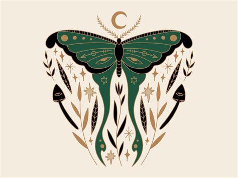 Luna Moth Illustration By Annie Konst Dribbble