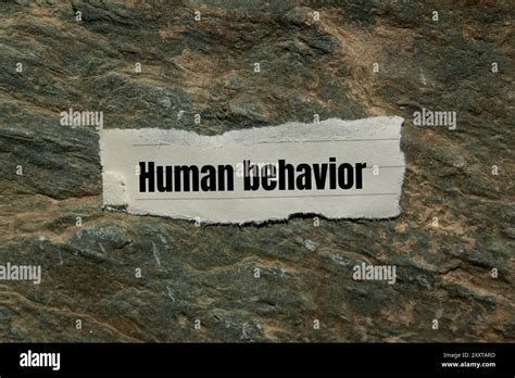 Human Behavior Message Written On Ripped Torn Paper Piece On Stone Background Conceptual Human