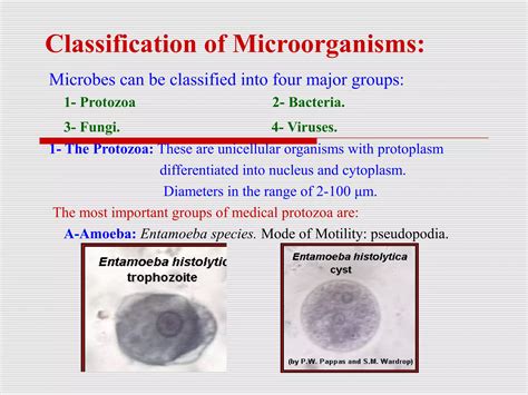 Classification Of Microorganisms Lecture 2 Ppt
