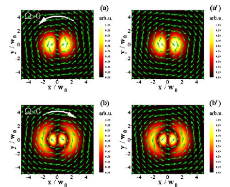 Numerically Computed Field Intensity Distribution And Transverse Energy