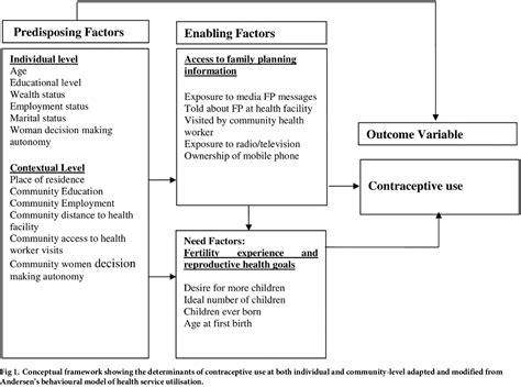 Figure From Social Context Of Contraceptive Use Transition Among Sexually Active Women In