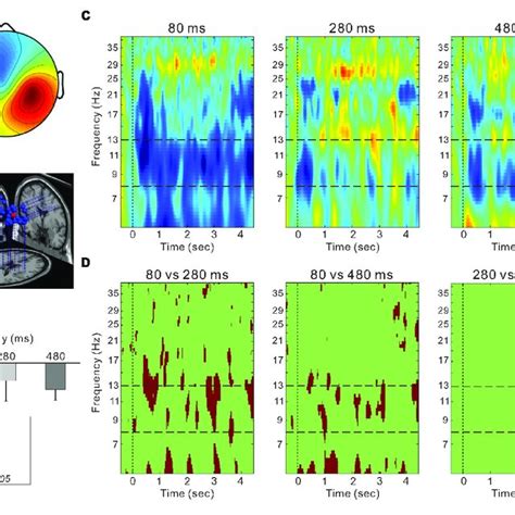 the right sensorimotor cluster a scalp topographical map b