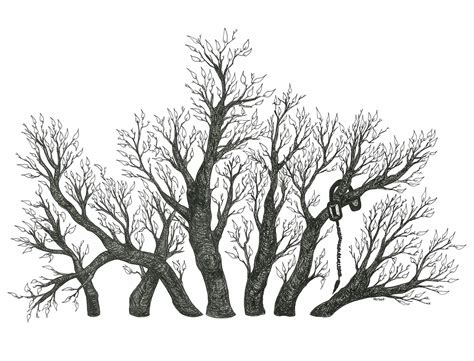 Pen And Ink Tree Drawing At GetDrawings Free Download