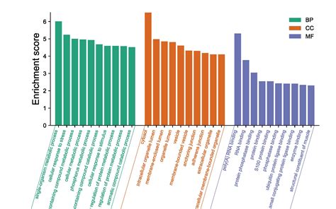 网络药理学实操分子对接及可视化 长安在日下 网络药理学 哔哩哔哩视频