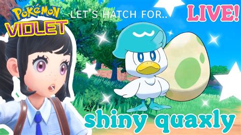 LIVE - LET'S HATCH EGGS FOR SHINY QUAXLY! Playing Pokemon Violet ...