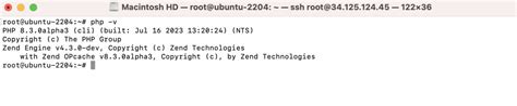 how to install php 8 3 on ubuntu 22 04 devtutorial