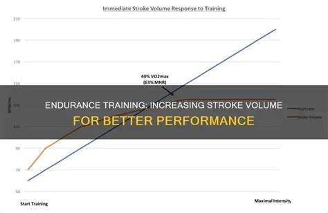 Endurance Training Increasing Stroke Volume For Better Performance
