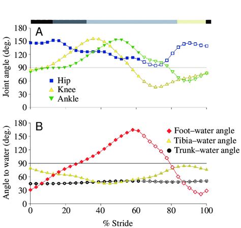 Time Series Of Three Dimensional Angular Excursions Of A Limb Joints