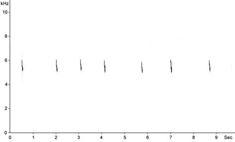 Tree Pipit Anthus Trivialis Sonogram Fraser S Birding Website