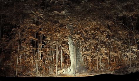 Lidar Data And Digital Twins For Better Forest Management Emesent