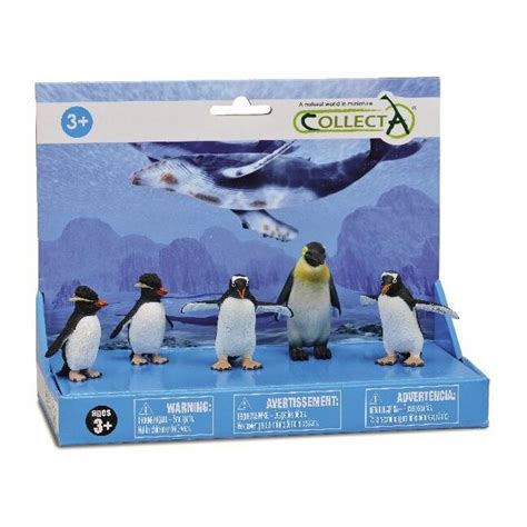 Оцон шувууны багц