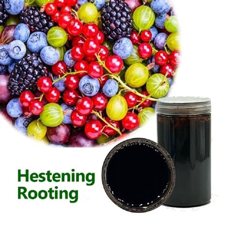 Biostimulant Fertilizer Root Liquid Fertilizer Seaweed Root