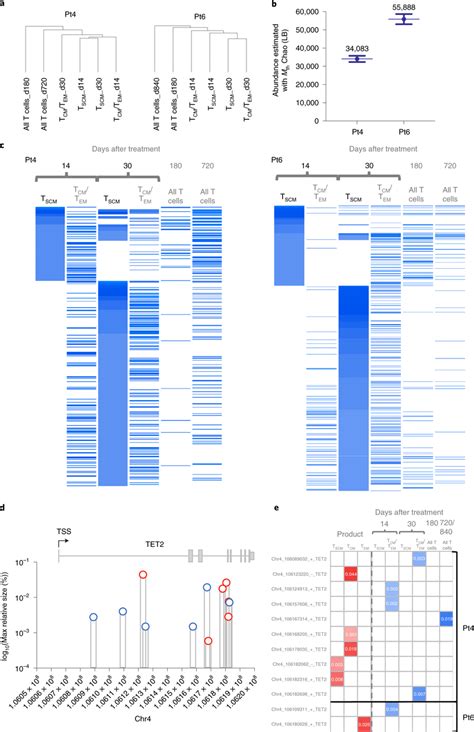 Tracking Of Is In Different T Cell Subtypes Over Time In Pt4 And Pt6 A Download Scientific