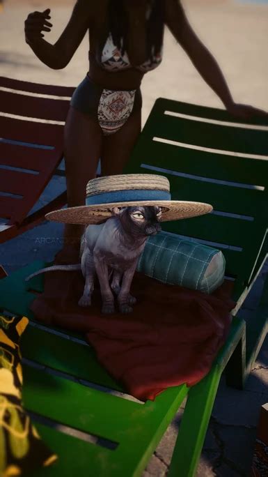 Amm Props Summer Pack At Cyberpunk 2077 Nexus Mods And Community