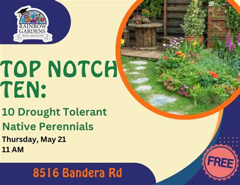 Top Notch Ten 10 Drought Tolerant Native Perennials Rainbow Gardens