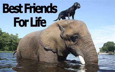 Emma Huggett On Linkedin Trivia Tuesday Friends Can Often Be People You Wouldnt Expect To Get…