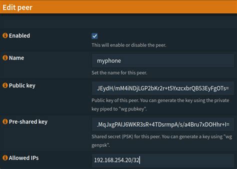 Script Time Wireguard Opnsense