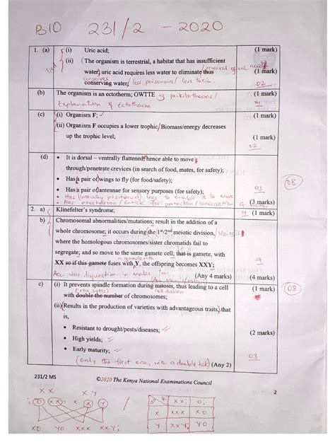 Biology Paper 1 Marking Scheme Pdf