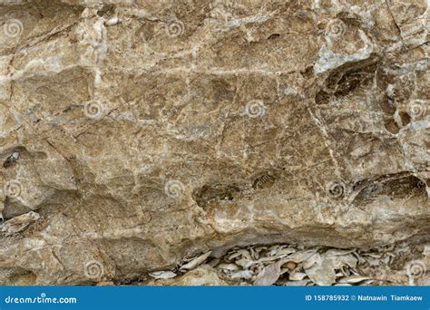 Rust Stone Texture With Fosil Rock Texture And Background Royalty Free Stock Image